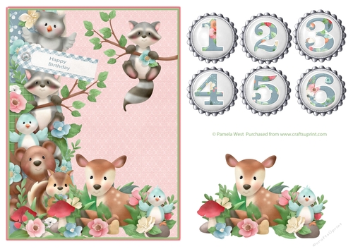 Birthday Numbers Woodland Friends Mini Kit with Decoupage - CUP808605 ...