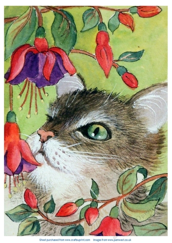 Cat and Fuschia, Original Art for Designer Resource or Card Topper ...