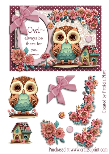 Owl Always Be There For You #4 Decoupage Card Topper 5x7 - CUP1205237 ...