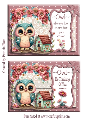 Double 5x7 Owl Toppers Very quick cards #2 - CUP1205279_1416 | Craftsuprint