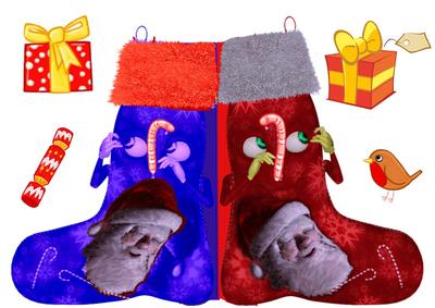 Sock Card 2 - CUP658824_2159 | Craftsuprint