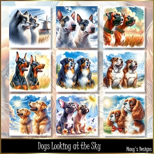 Dogs Looking at the Sky - CUP1369581_124264 | Craftsuprint