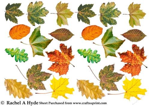 A Walk in the Woods Autumn Leaves Collage Sheet - CUP1248958_155 ...