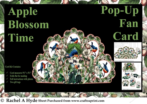 Apple Blossom Time Pop-Up Fan Card - CUP740229_155 | Craftsuprint
