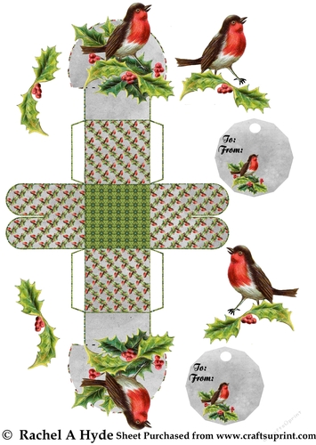 Robin On Holly Box - CUP751425_155 | Craftsuprint