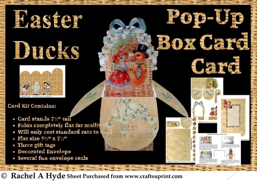 Easter Ducks Pop Up Box Card - CUP775148_155 | Craftsuprint