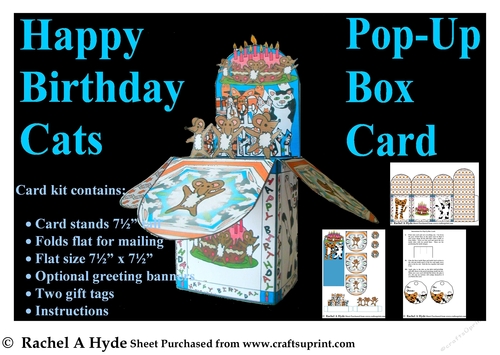 Happy Birthday Cats Pop Up Box Card - CUP824484_155 | Craftsuprint