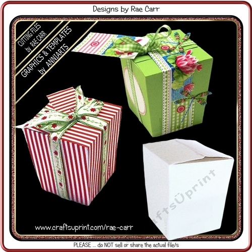 AA 001 Bucket Take Out Box - CUP693565_1415 | Craftsuprint