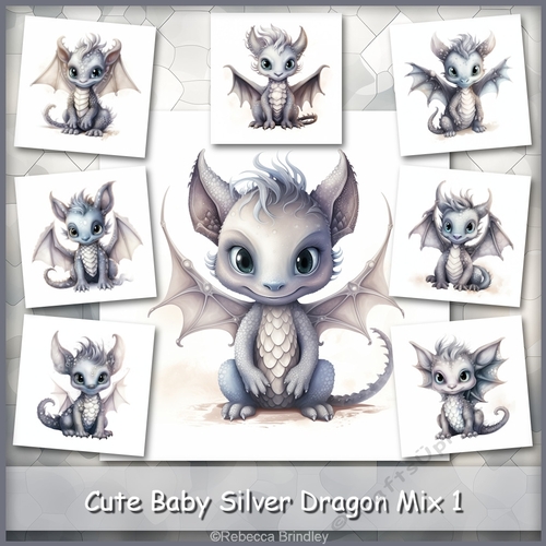 Cute Baby Silver Dragon Mix 1 - CUP1285915_442 | Craftsuprint