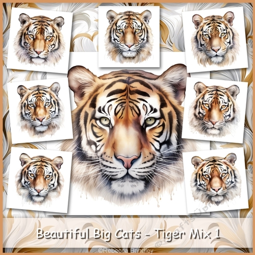 Beautiful Big Cats - Tiger Mix 1 - CUP1308397_442 | Craftsuprint