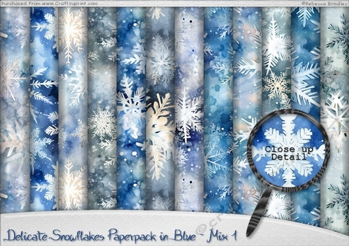 Delicate Snowflakes Paperpack in Blue - Mix 1 - CUP1322534_442 ...