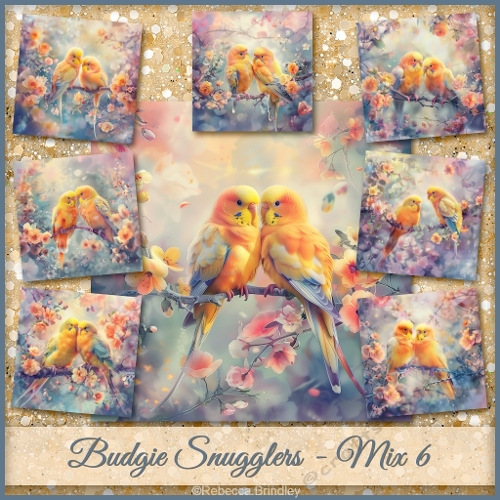 Budgie Snugglers - Mix 6 - CUP1374084_442 | Craftsuprint
