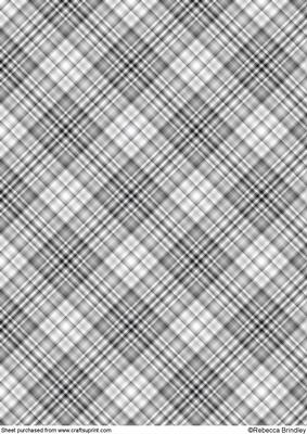Frosty Plaid Backing Paper 3 - CUP248238_442 | Craftsuprint