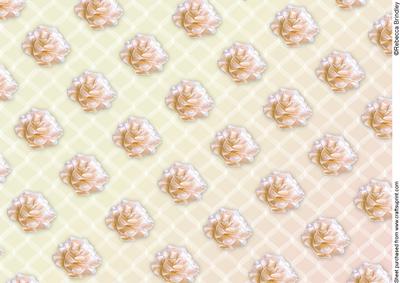 A Delicate Peach Rose Backing Paper 1 - CUP340433_442 | Craftsuprint