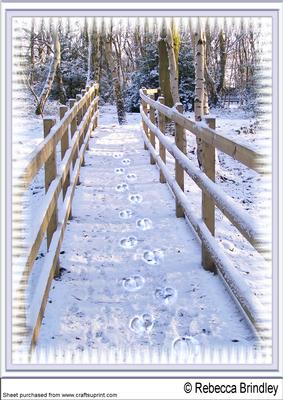 Reindeer Tracks? A4 - CUP43249_442 | Craftsuprint