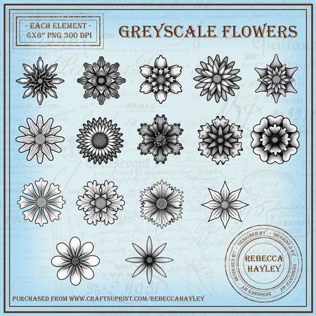 16 Modern Greyscale Flowers - CUP198282_1148 | Craftsuprint