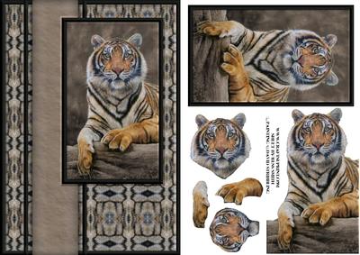 Tiger Quick Card - CUP175399_37 | Craftsuprint