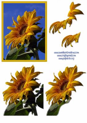 Sunflower Decoupage - CUP20088_37 | Craftsuprint