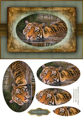 Swimming Tiger Quick Card - CUP569443_37 | Craftsuprint