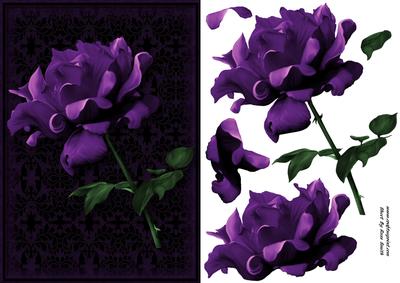 Stunning Purple Rose Card Front - CUP86903_37 | Craftsuprint
