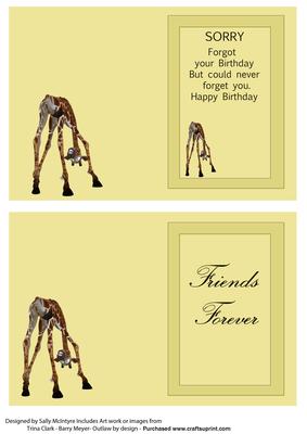 Sorry I Forgot Your Birthday Friends Forever Insert - CUP128340_49 ...