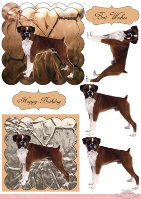Boxer Dog 2 Card Sheet - CUP160582_49 | Craftsuprint