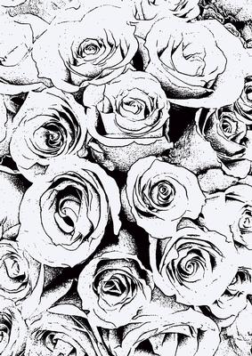 Digital Stamp Roses - CUP177235_49 | Craftsuprint