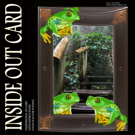 Inside Out Card Tropical Frogs - CUP200979_49 | Craftsuprint