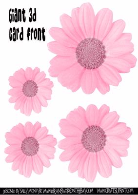 Giant 3D Card Front - CUP22259_49 | Craftsuprint