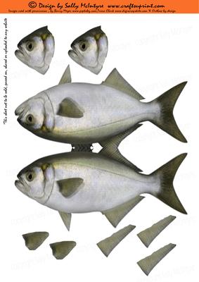 Tailor Fish Shaped Card with 3D Elements - CUP267532_49 | Craftsuprint
