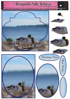 Mississippi Ducks 2 Card Sheet, Envelope to Match is Availab ...