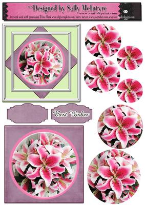 Orchid Round Pyramid 2 Card Sheet - CUP319299_49 | Craftsuprint