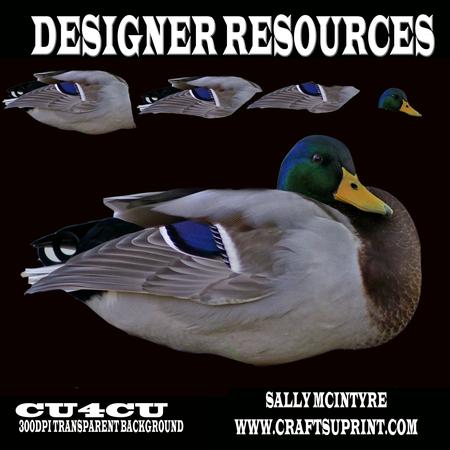 Promo Duck Layered Designer Resource Png - CUP319724_49 | Craftsuprint