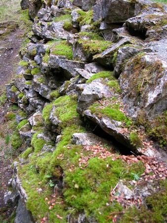 Lichen Falls - CUP320289_49 | Craftsuprint