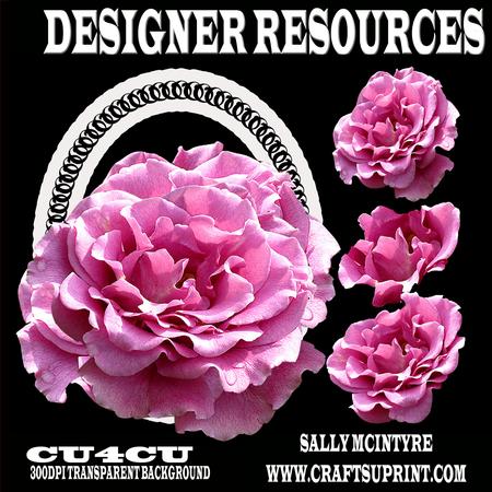 Designer Resource Ruffled Pink Rose and Frame - CUP328473_49 | Craftsuprint