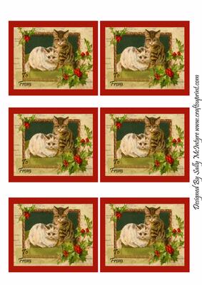Cute Cat Gift Cards with to and From - CUP32897_49 | Craftsuprint