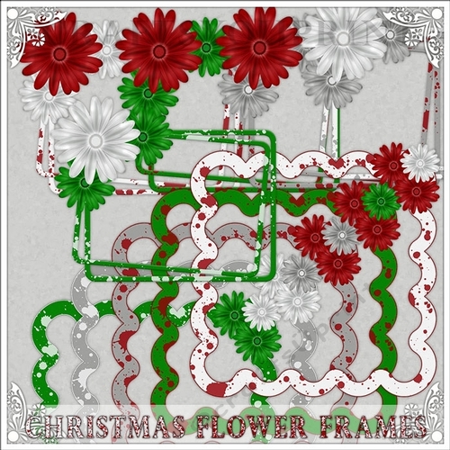 Christmas Flower Frames - CUP967062_2048 | Craftsuprint