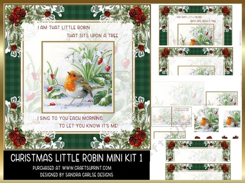 Christmas Little Robin 8x8ins Mini Kit 1 - CUP1075762_719 | Craftsuprint