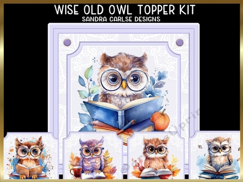 Wise Old Owl 7x7ins x 5 Topper kit - CUP1213903_719 | Craftsuprint
