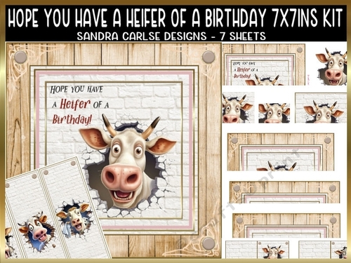 Hope you have a heifer of a birthday 7x7ins kit 1 with bookmarks ...