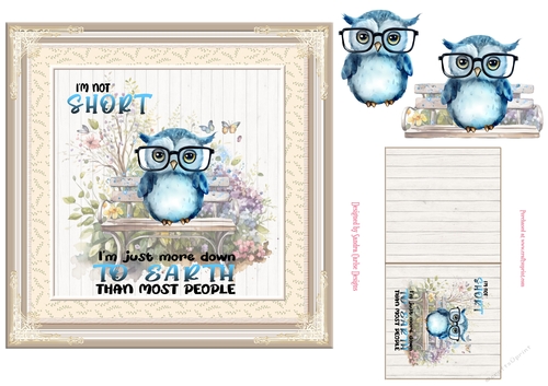Funny owl decoupage 7x7ins topper 1 - REQUEST - CUP1296857_719 ...