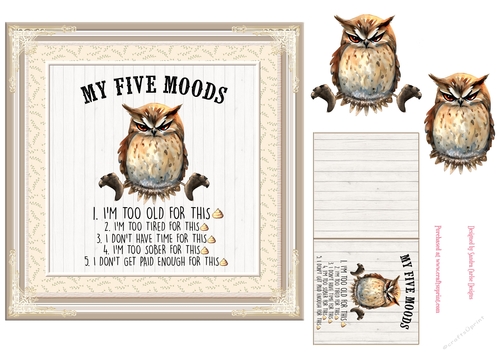 Funny owl decoupage 7x7ins topper 3 - REQUEST - CUP1296867_719 ...