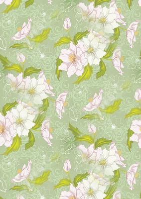 White Flowers Backing Paper - CUP559091_719 | Craftsuprint