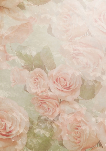 Roses Backing Paper 1 - CUP807308_719 | Craftsuprint