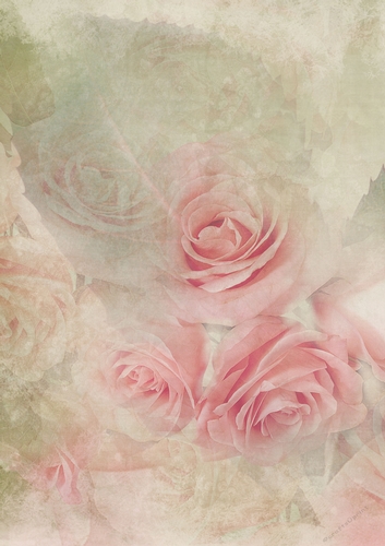 Roses Backing Paper 3 - CUP807312_719 | Craftsuprint
