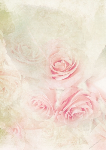 Roses Backing Paper 5 - CUP807315_719 | Craftsuprint