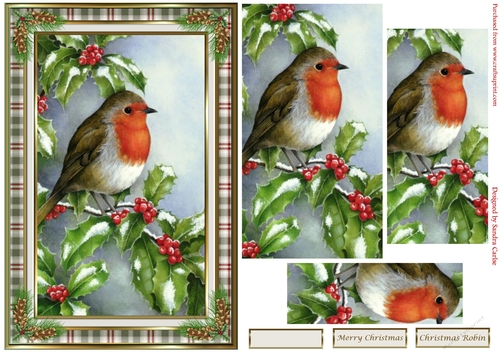 Christmas Robin soft green framed pyramid Topper - CUP925236_719 ...