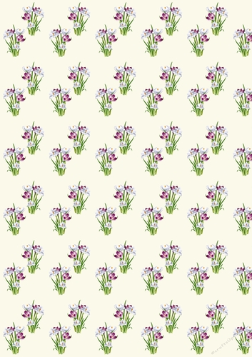 Tulips Floral Backing Paper - CUP961179_719 | Craftsuprint