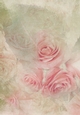 Roses Backing Paper 4 - CUP807314_719 | Craftsuprint