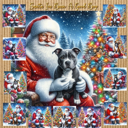 Santa Ive Been A Good Boy - CUP1270633_77133 | Craftsuprint